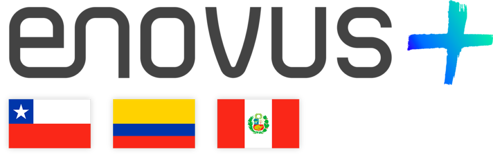Conócenos | ENOVUS | Soluciones Integrales